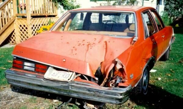 Top 11 Famous Meteorites - FossilEra.com