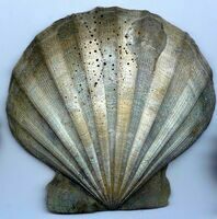 List of State Fossils - FossilEra.com