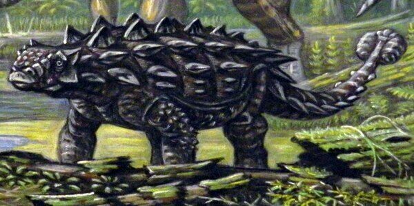 .35" Rooted Ankylosaur (Zuul) Tooth - Judith River Formation (#144892 ...