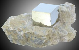 Pyrite For Sale - FossilEra.com