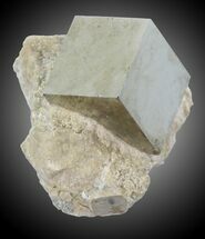Spain Pyrite Cubes For Sale - FossilEra.com