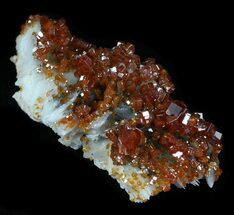 2.18" Deep Red Vanadinite Crystals - Morocco For Sale (#32335 ...