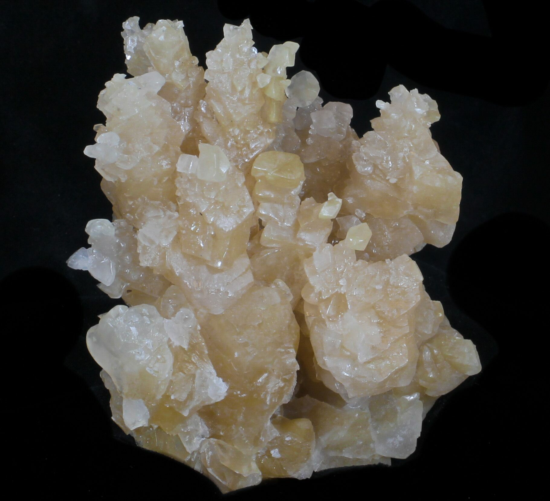 Bargain 4.6" Caramel Calcite Cluster - Mexico (#33744) For Sale ...