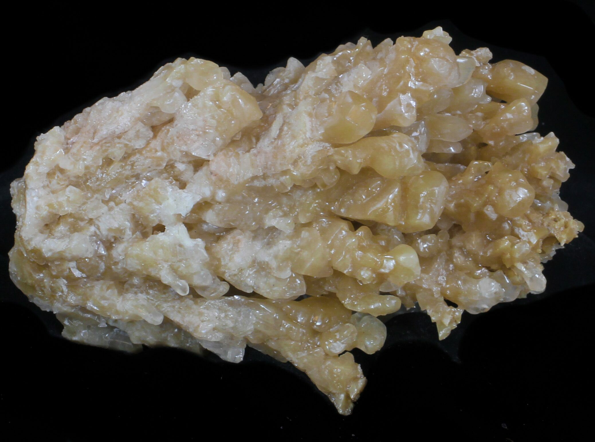Bargain 4.8" Caramel Calcite Cluster - Mexico (#33745) For Sale ...