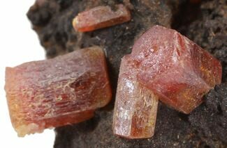 Vanadinite For Sale - FossilEra.com