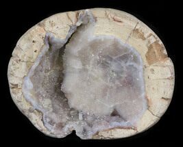 Geodes For Sale - FossilEra.com