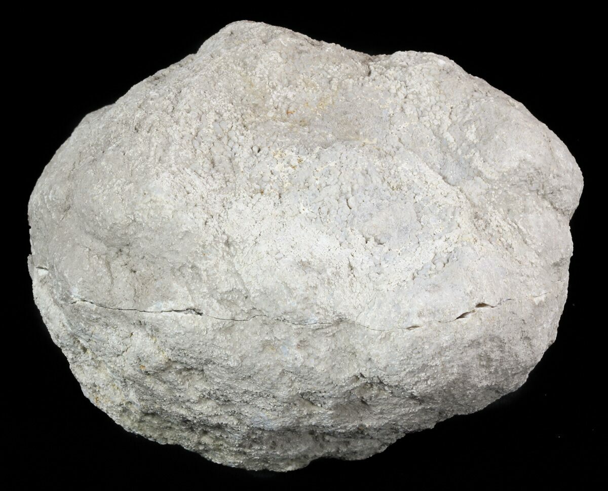 5.1" Keokuk Geode with Quartz - Missouri For Sale (#47109) - FossilEra.com