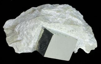 5.5" Museum Quality Pyrite Cube Cluster In Matrix - Spain For Sale ...