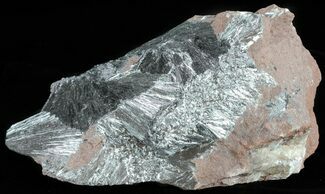 2.2" Kidney Ore (Botryoidal Hematite) - Morocco For Sale (#34138 ...