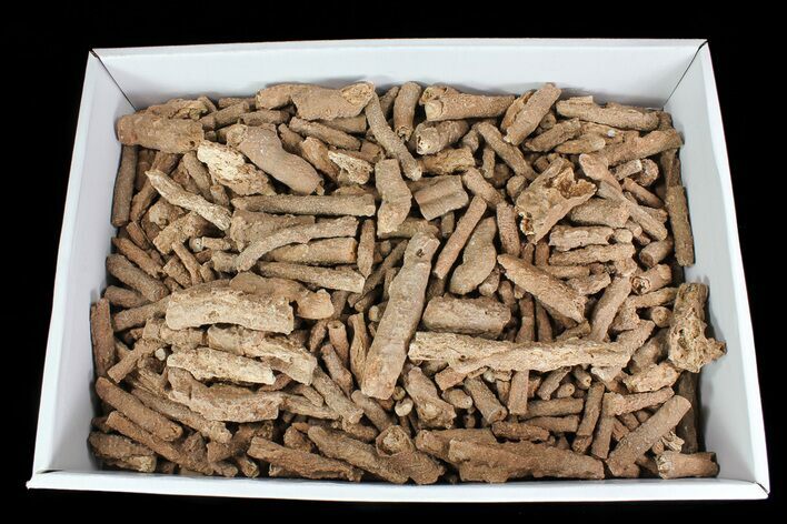 1-5" Fulgurites ("Petrified Lightning") Wholesale Lot ~ 200 Pieces ...