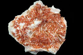 Brilliant 3.55" Vanadinite Crystal Cluster - Morocco For Sale (#36992 ...