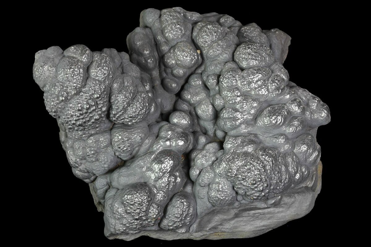 3.8" Botryoidal Goethite - Taouz, Morocco (#82754) For Sale - FossilEra.com