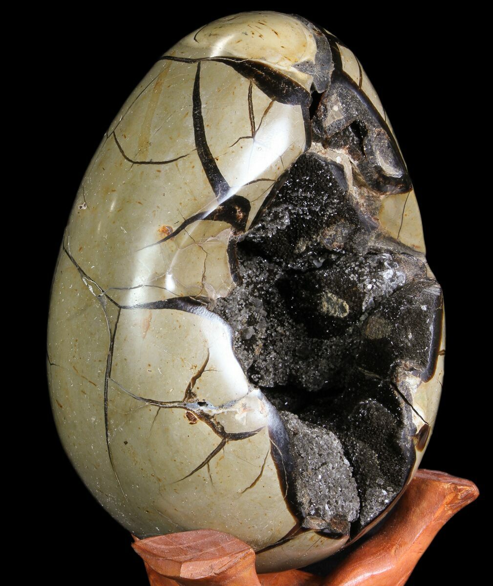 8.3" Polished Septarian "Dragon Egg" Geode (#87101) For Sale ...
