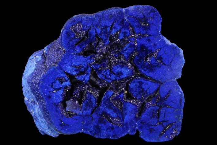 2.1" Vibrant, Cut/Polished Azurite Nodule - Siberia (#93457) For Sale ...