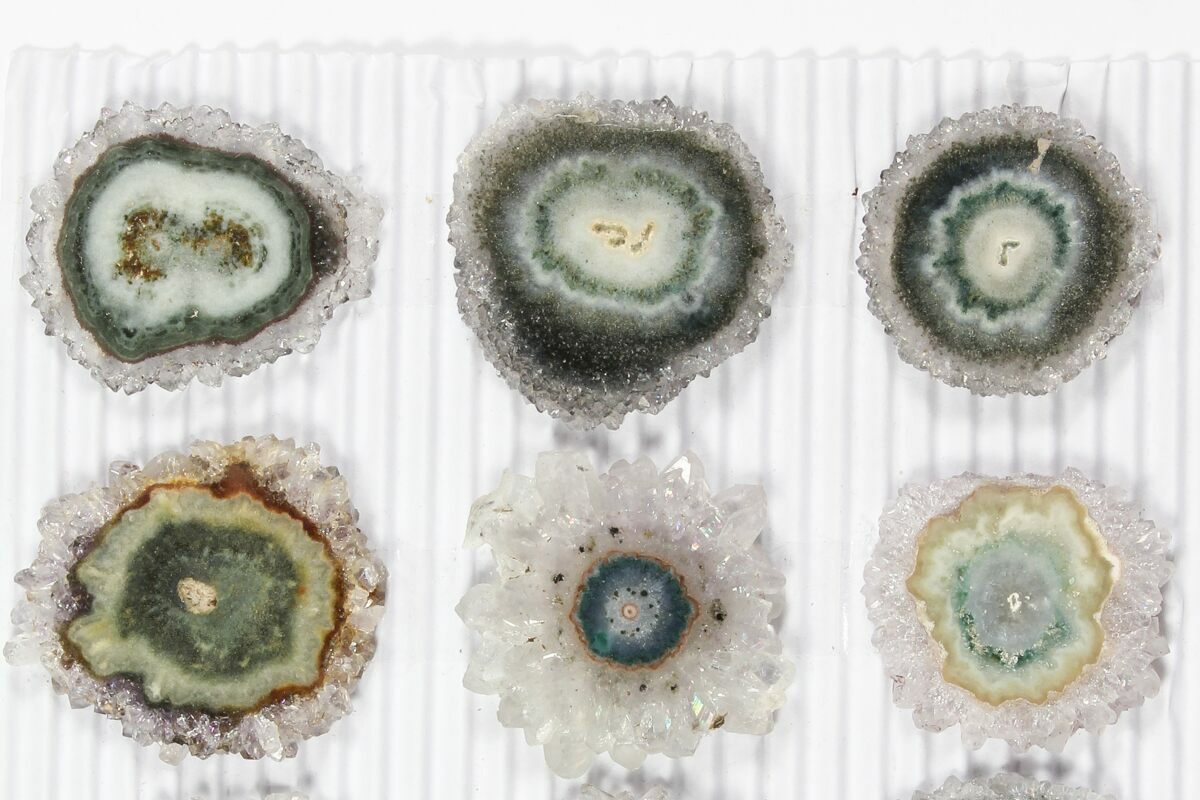 Lot: ~1.4" Amethyst Stalactite Slices (12 Pieces) (#101664) For Sale ...