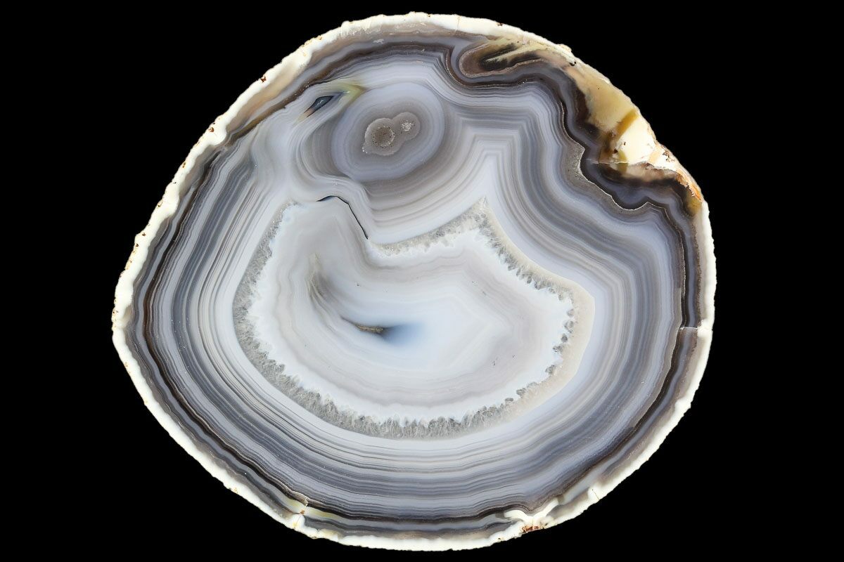 5.6" Polished Brazilian Agate Slice For Sale (#107356) - FossilEra.com