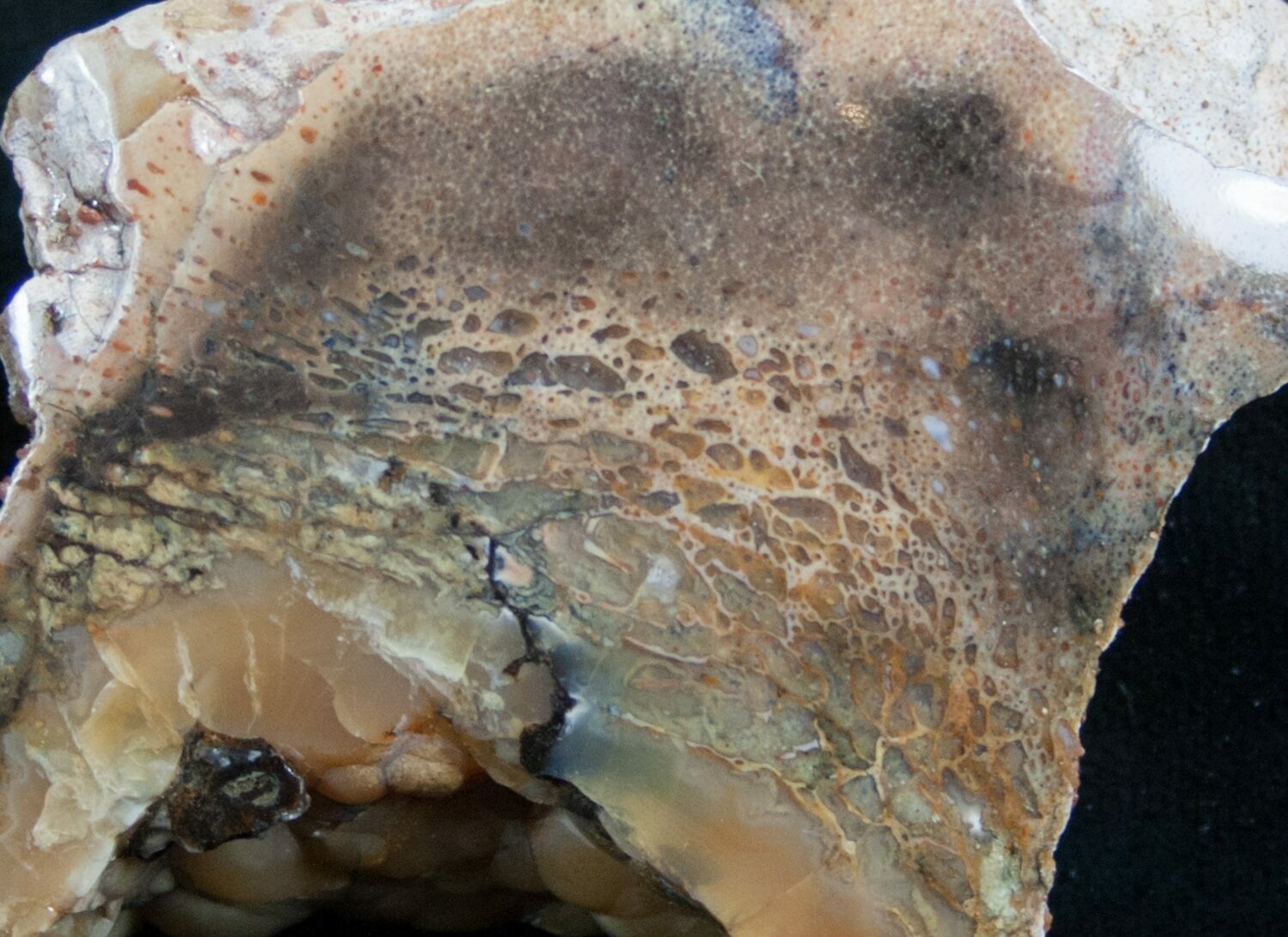 Agatized Dinosaur Bone Chunk (Polished) (#7839) For Sale - FossilEra.com