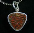 Agatized Dinosaur Bone & Gibeon Meteorite Pendant (#7887) For Sale ...