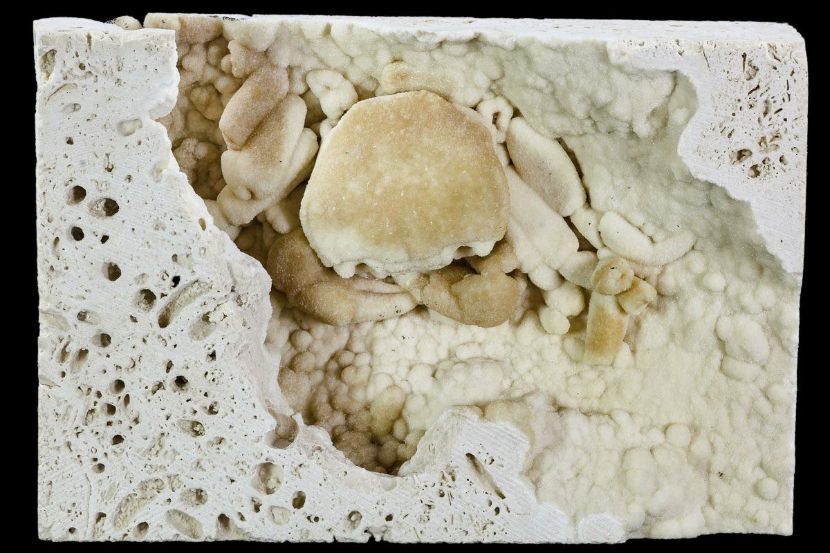 3.9" Fossil Crab (Potamon) Preserved in Travertine - Turkey (#112343 ...