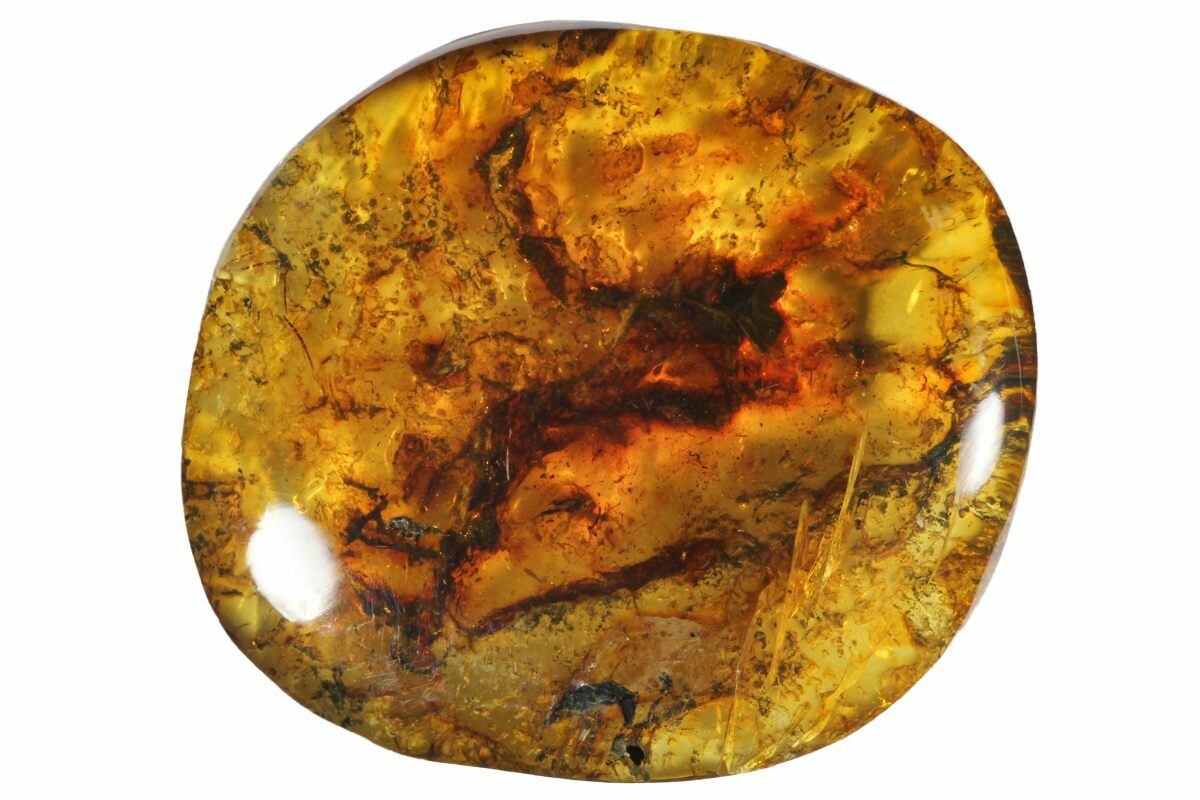 1.6" Polished Chiapas Amber (7 g) - Mexico (#114888) For Sale ...