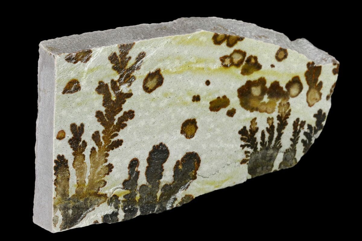 5.9" Slab of Dendrites on Limestone - Utah (#134823) For Sale ...