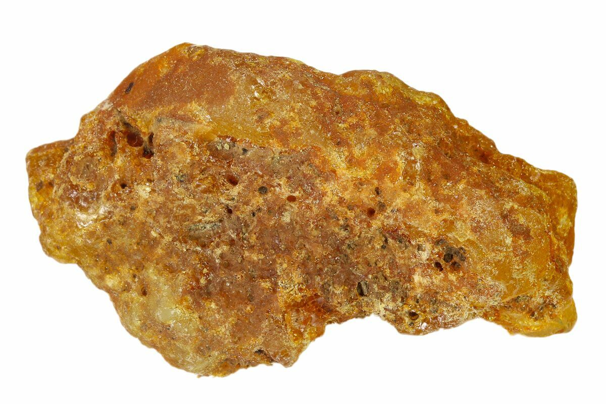 2.4" Rough Colombian Copal (Young Amber) (#135227) For Sale - FossilEra.com