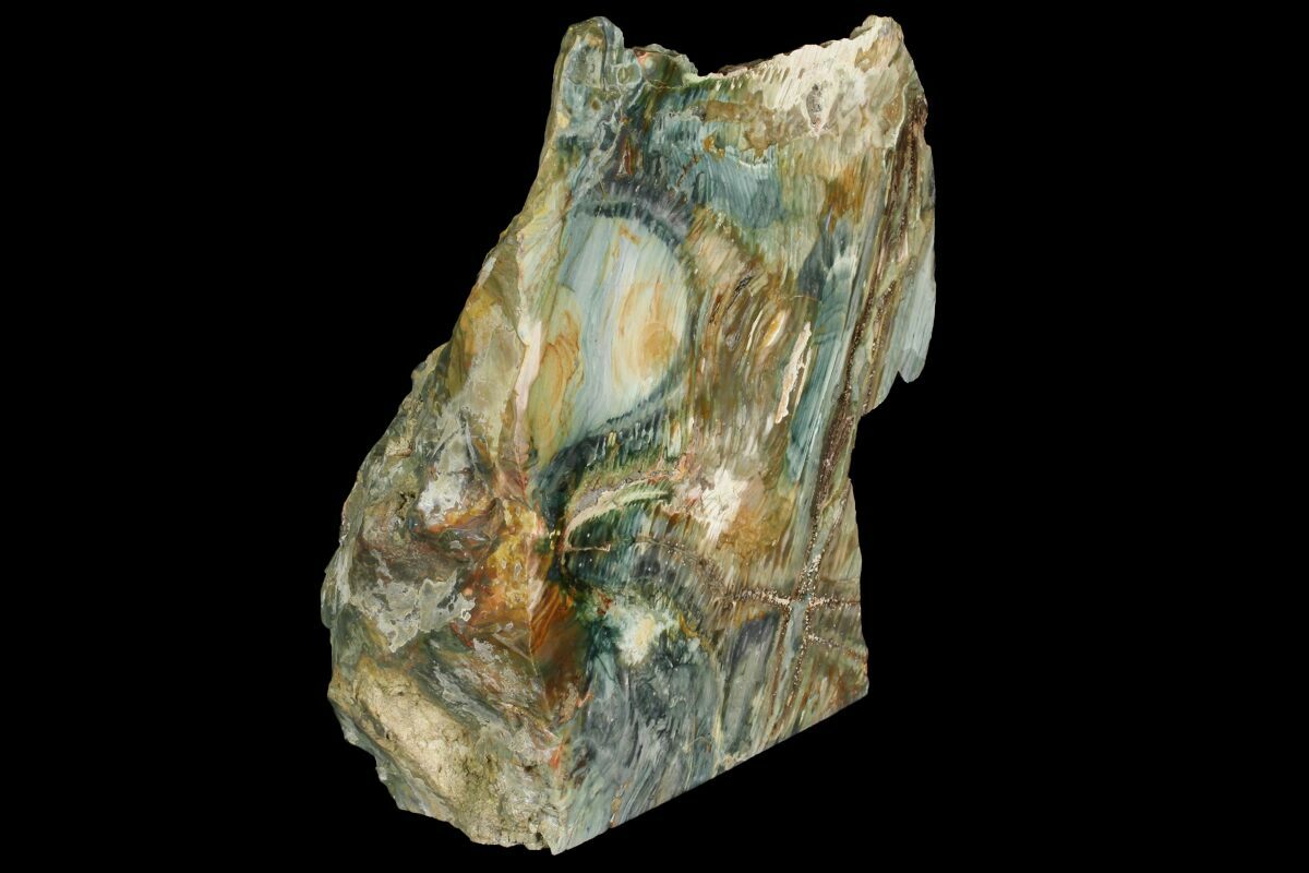 6.1" Gary Green Jasper (Larsonite) Bog Wood Stand Up - Oregon (#141243 ...