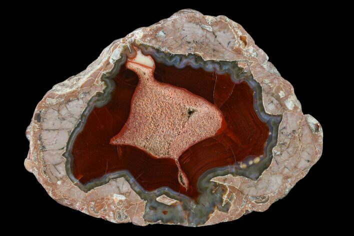 3.05" Polished Baker Ranch Thunderegg - New Mexico (#146554) For Sale ...