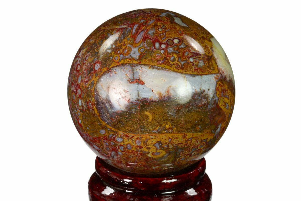 2 1 Colorful Polished Petrified Palm Root Sphere Indonesia For Sale 2-1-colorful-polished-petrified-palm-root-sphere-indonesia-for-sale