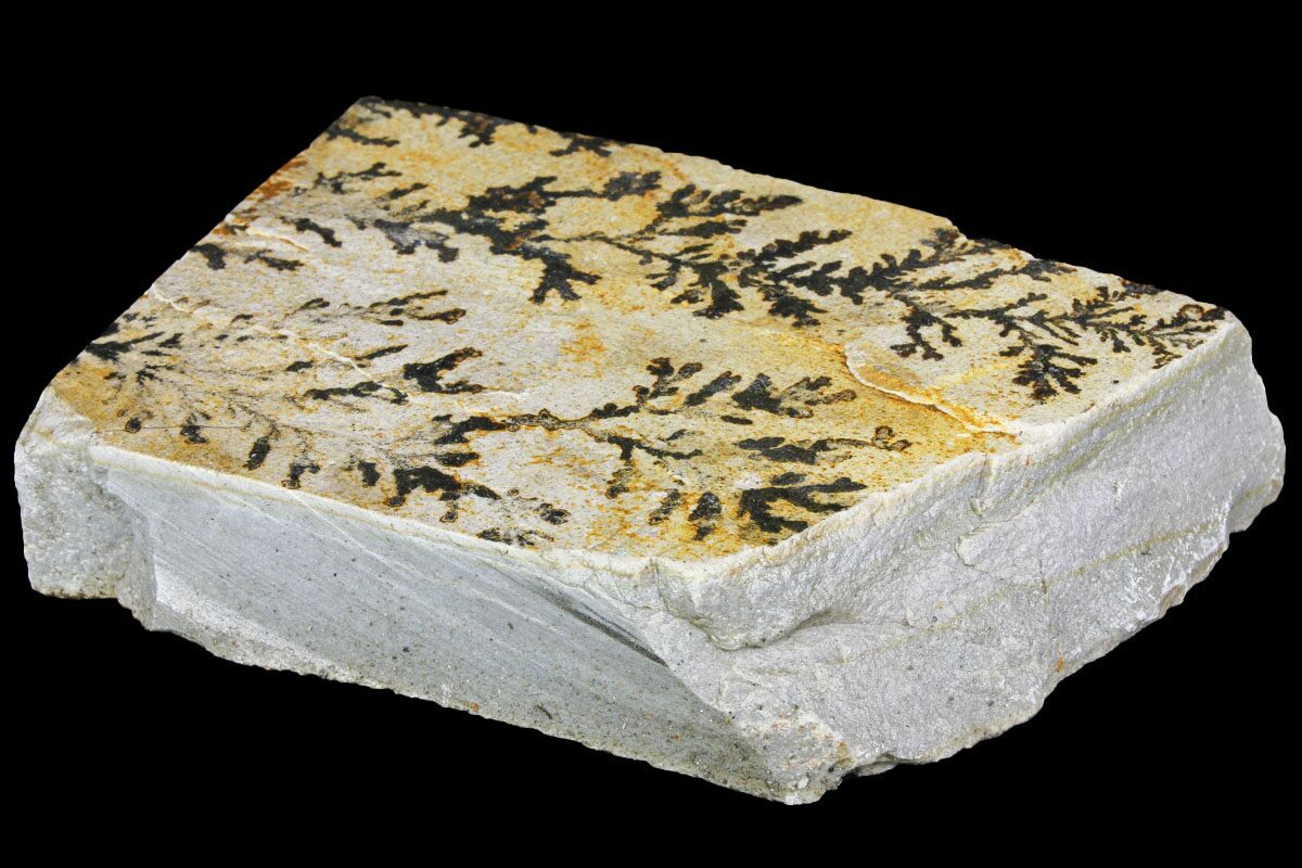 5.9" Dendrites On Limestone - Utah (#150490) For Sale - FossilEra.com
