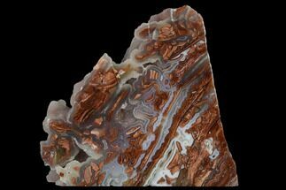 Agate, Chalcedony & Jasper - What’s the Difference? - FossilEra.com