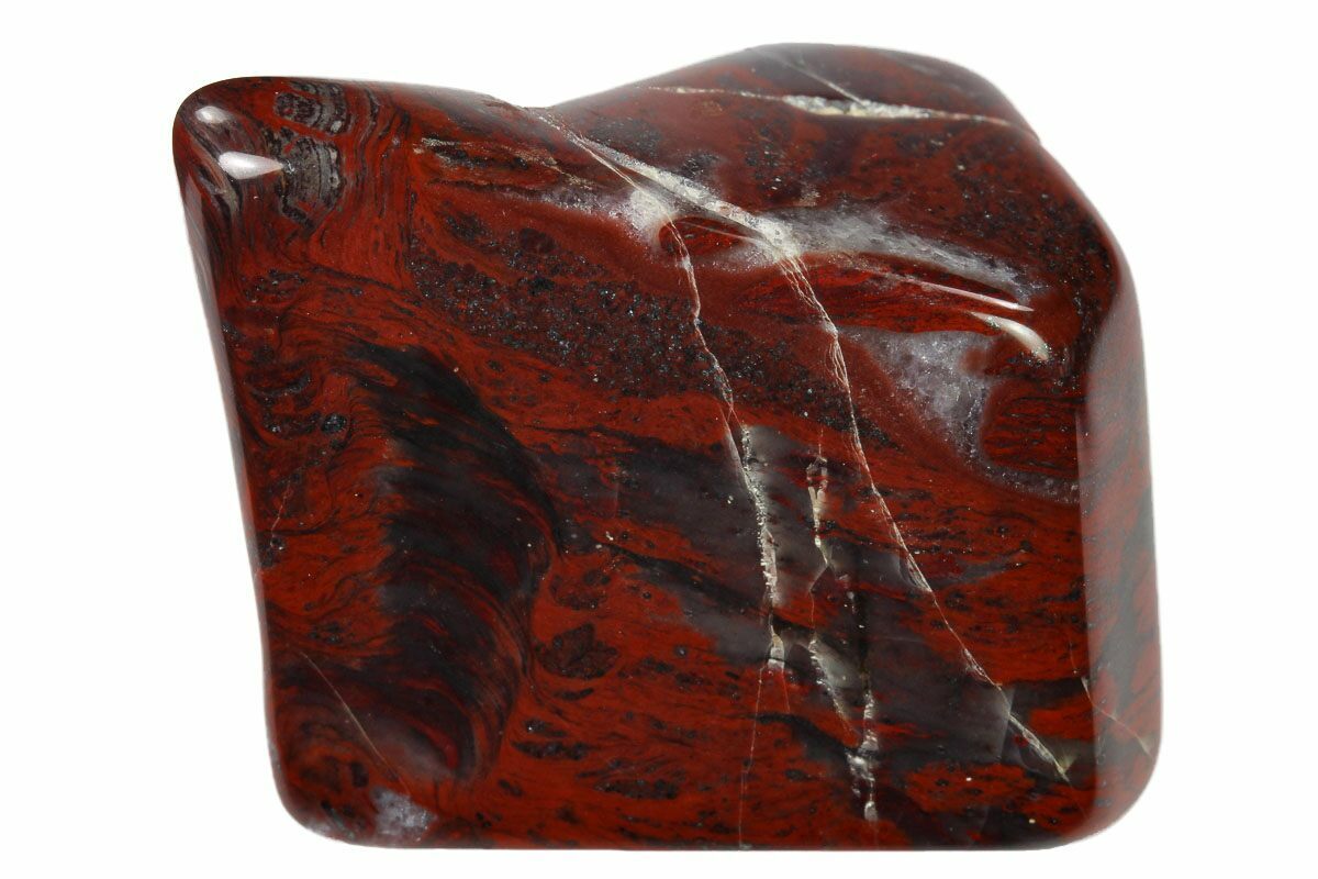 1.7" Polished Stromatolite (Collenia) - Minnesota (#155585) For Sale ...