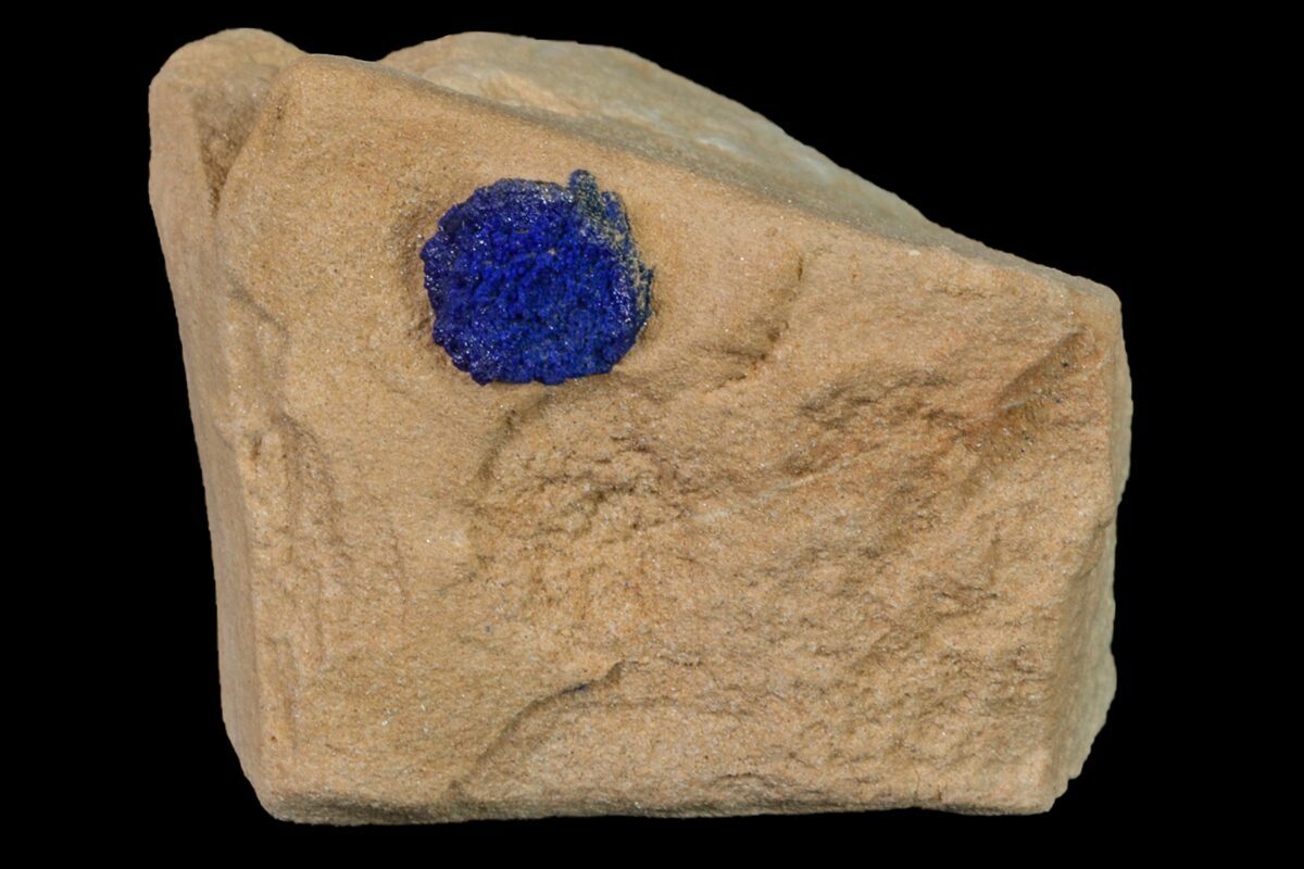 .26" Vibrant, Blue Azurite Sun on Siltstone - Australia (#155636) For ...