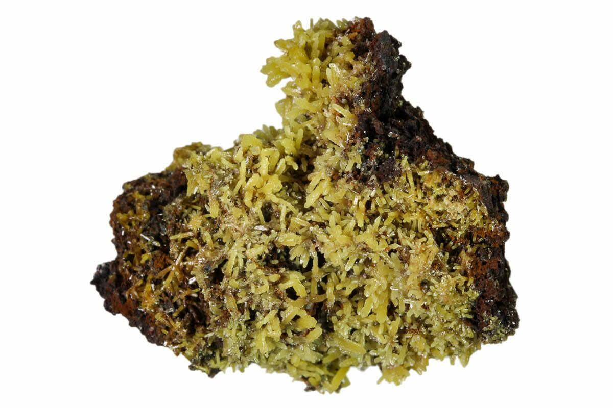 1.5" Mimetite Crystal Clusters on Limonitic Matrix - Mexico (#157081 ...