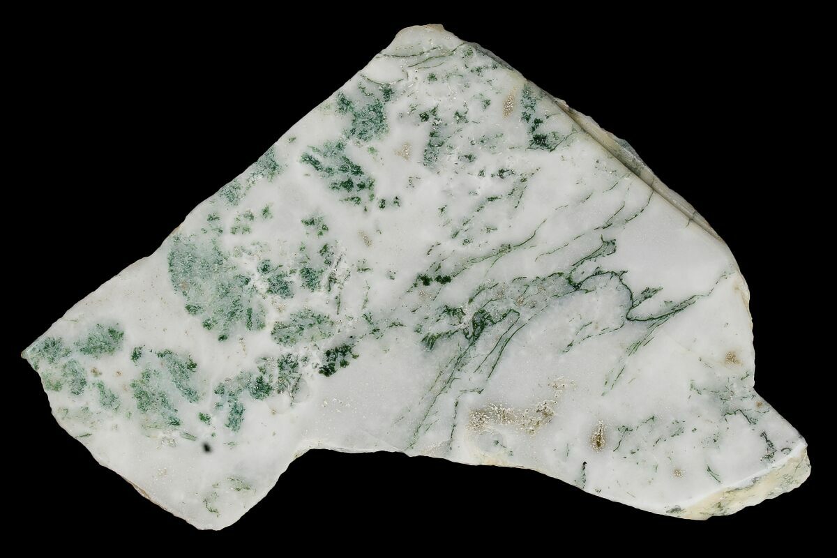 5.3" Polished Tree Agate Slab - India (#167472) For Sale - FossilEra.com