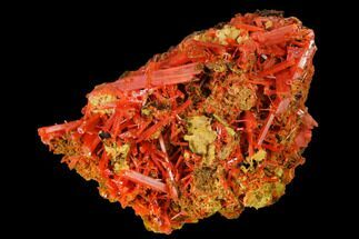Crocoite For Sale - FossilEra.com