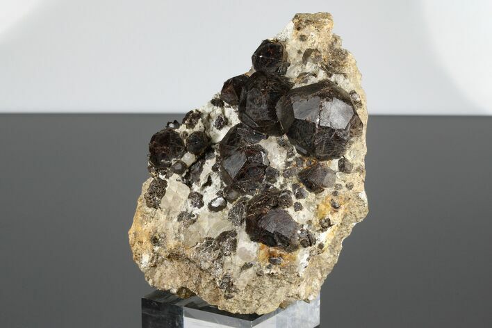 5.7" Large Red Pyrope Garnets in Quartz - Madagascar (#175915) For Sale ...