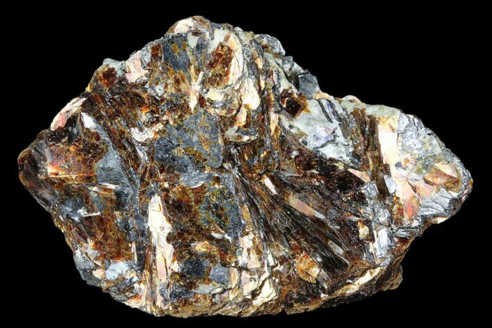 3" Golden-Brown, Radiating Astrophyllite - Kola Peninsula, Russia ...