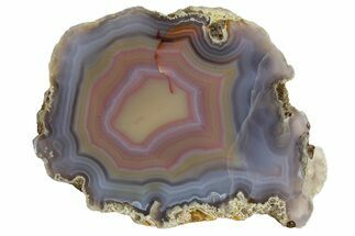 Agate, Chalcedony & Jasper - What’s the Difference? - FossilEra.com