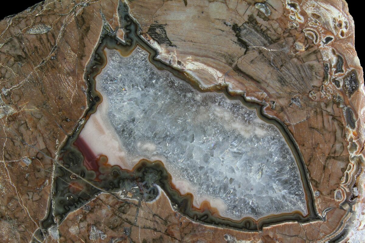 4.7" Polished Baker Ranch Thunderegg - New Mexico (#180632) For Sale ...