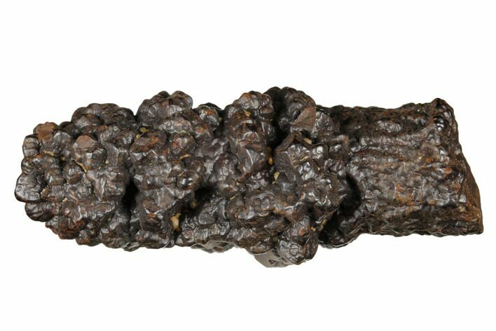 2.8" Goethite (Limonite) Pseudomorph after Pyrite/Marcasite - Egypt ...