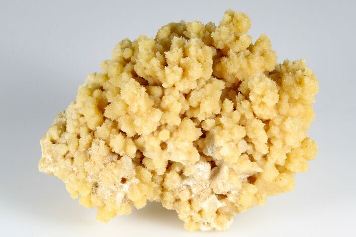 3.3" Orange, Botryoidal Aragonite Formation - Peru (#181768) For Sale ...