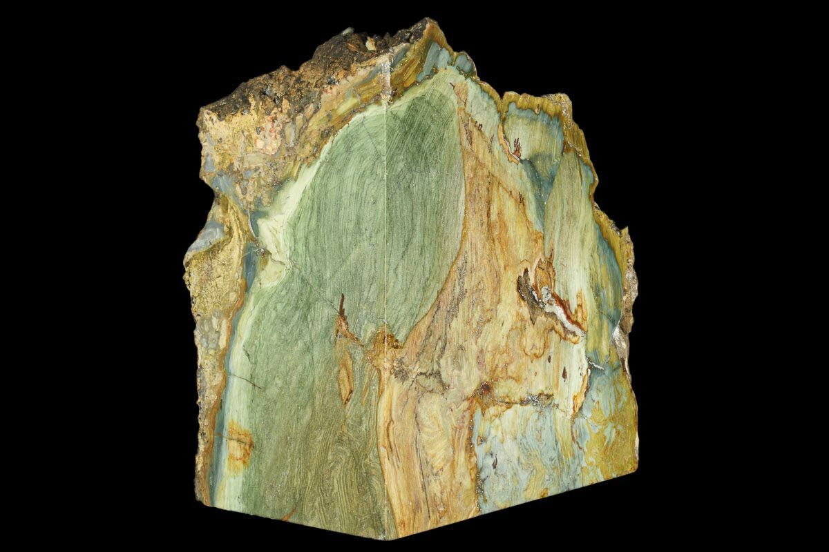 5.8" Polished, Gary Green (Larsonite) Petrified Wood - Oregon (#181930 ...