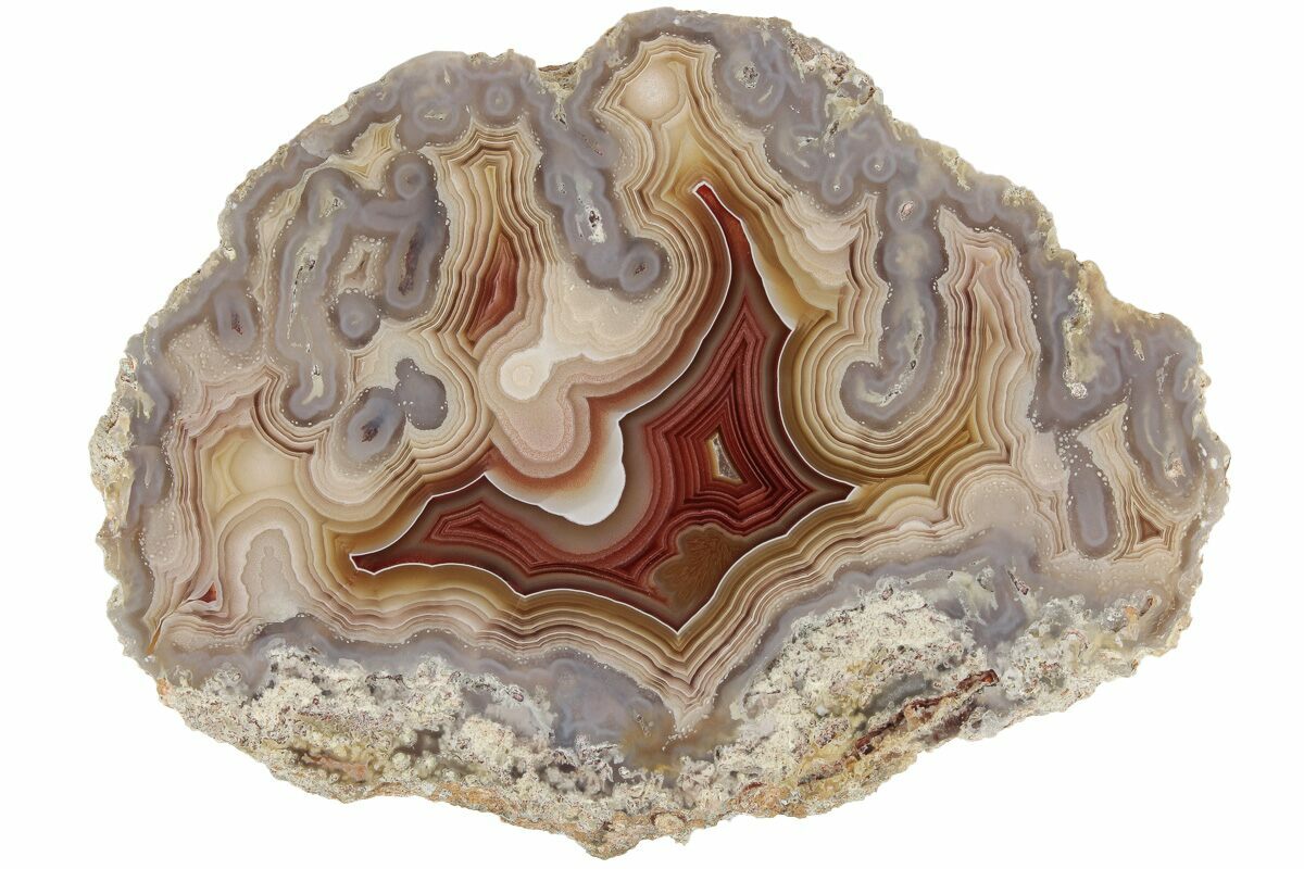3.8" Polished Banded Laguna Agate Slab - Mexico For Sale (#185175 ...