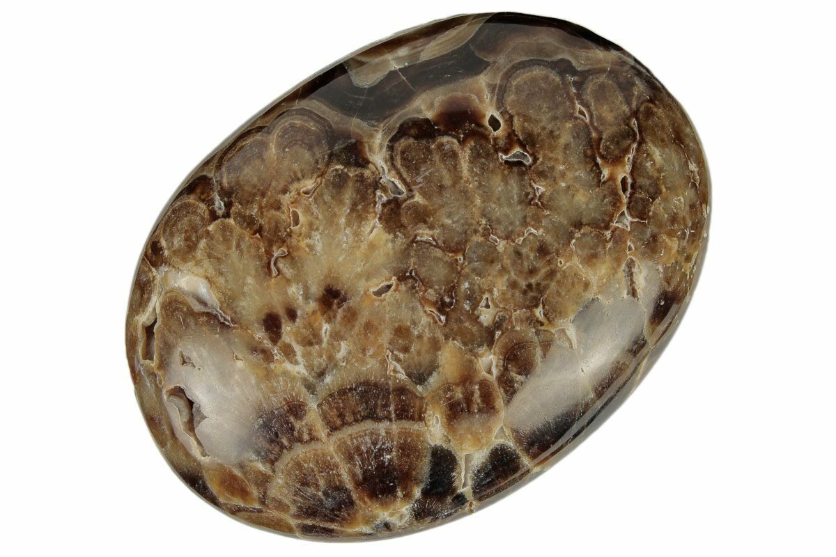 2.75" Polished Chocolate Calcite Palm Stone - Pakistan (#187888) For ...