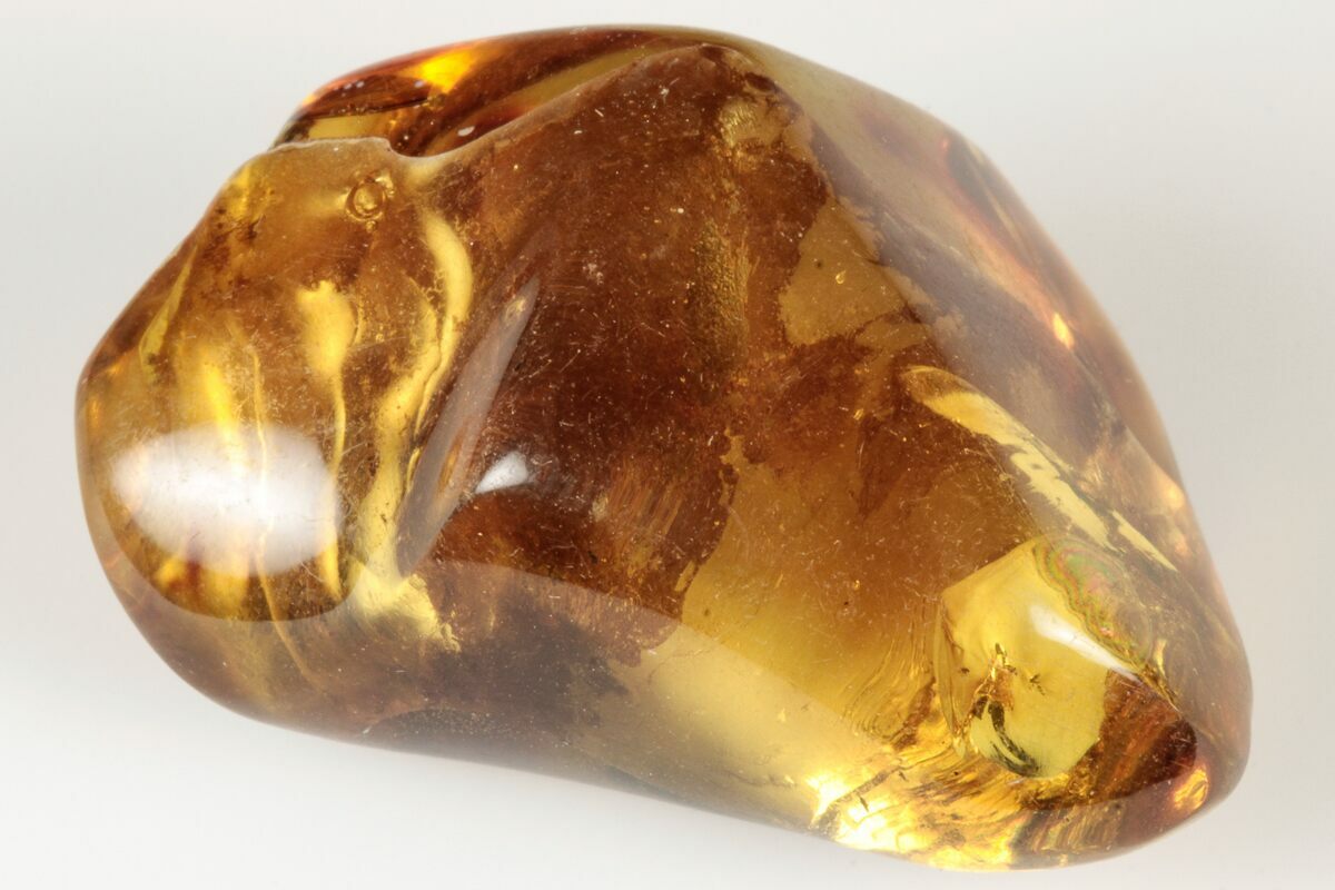 1.3" Polished Chiapas Amber (6 g) - Mexico (#193199) For Sale ...