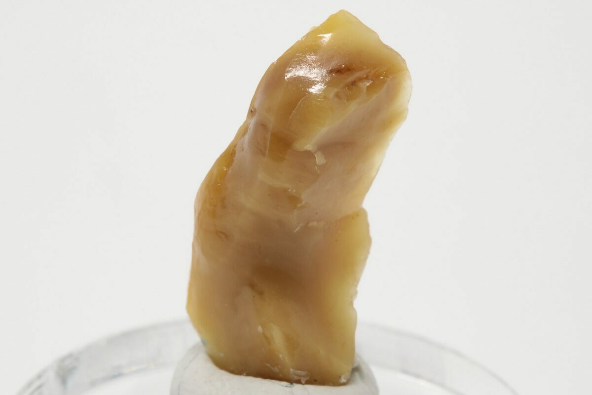 .76" Kansas Amber (Jelinite) Specimen - George Jelinek Collection ...