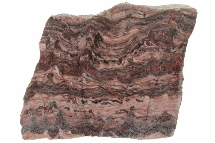 5.9" Polished Kona Dolomite Slab - Michigan (#197994) For Sale ...
