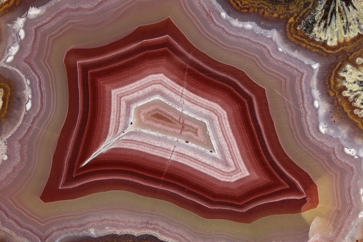 3.2" Polished Laguna Agate Slice - Mexico (#198078) For Sale ...