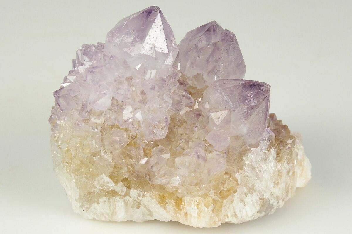 1.7" Cactus Quartz (Amethyst) Crystal Cluster - South Africa (#201719 ...